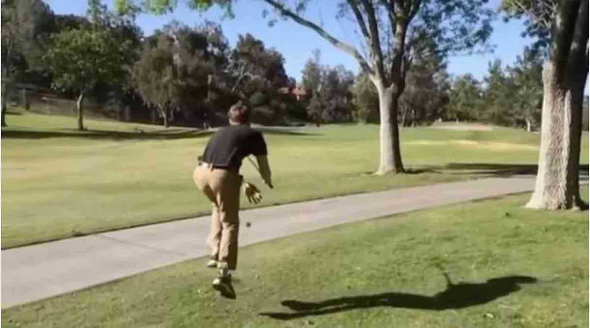 The just too damn cute golf trick shot video - GolfPunkHQ The just too damn cute golf trick shot video - GolfPunkHQ