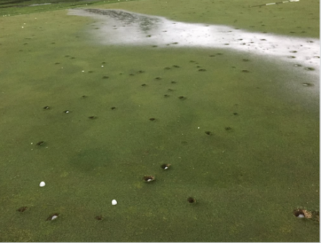 Golf course in Nebraska hit by hail storm - GolfPunkHQ