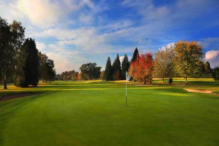 You Little Beauty - It's Haywards Heath Golf Club - GolfPunkHQ