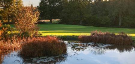 How to get your golf course in the best possible shape - GolfPunkHQ
