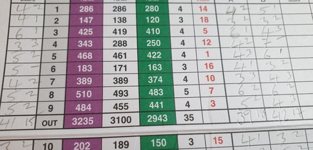 Handicap allowances under the WHS - GolfPunkHQ